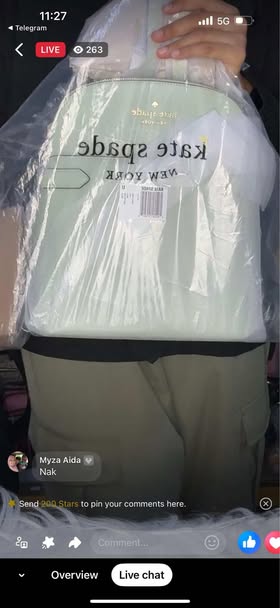 (INTERNAL USE ONLY) LD DEC 26 [JOY] KS STACI DOME BACKPACK LT GREEN – NYShoppeUSA